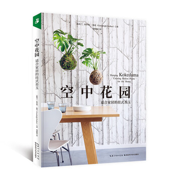 空中花园(适合家居的挂式苔玉)