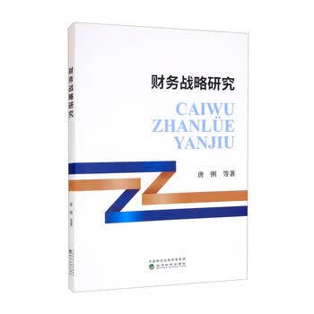 财务战略研究