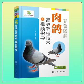 彩色图解肉鸽高效养殖技术视频指导 肉鸽选种 疾病防治 肉鸽营养饲料 养鸽场建设 鸽产品加工营销