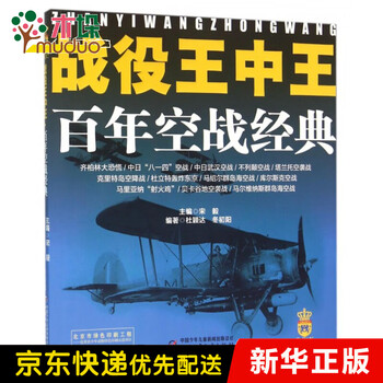 战役王中王(百年空战经典)