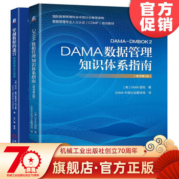套装 DAMA数据管理知识体系指南 原书 第2版+穿越数据的迷宫 数据管理执行指南
