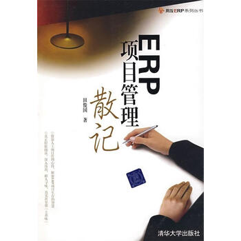 ERP项目管理散记【正版图书，放心下单】