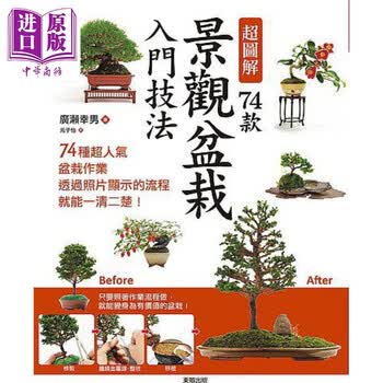 超图解74款景观盆栽入门技法 港台原版 广濑幸男 台湾东贩