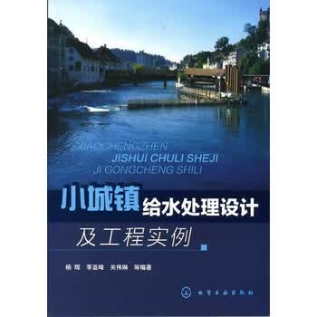 小城镇给水处理设计及工程实例【正版图书，放心下单】