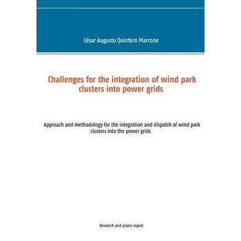 Challenges for the integration of wind park clus