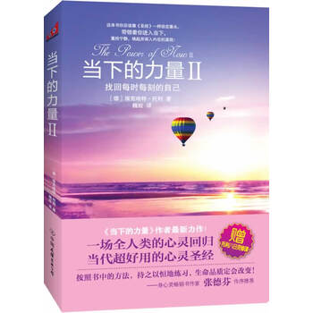 当下的力量Ⅱ——找回每时每刻的自己 【正版图书，放心购买】