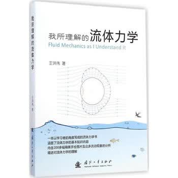 我所理解的流体力学 王洪伟【正版书】