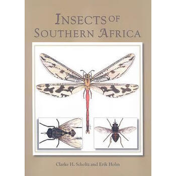 Insects of Southern Africa