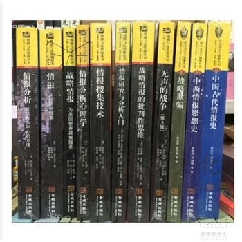 情报与反情报丛书8册+国家安全与情报丛书3册（共11册）