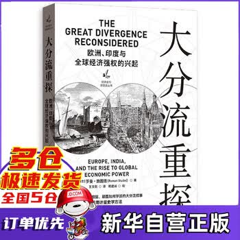 大分流重探(欧洲印度与全球经济强权的兴起)/经济史与思想史丛书