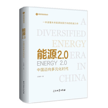 能源2 0：中国迈向多元化时代