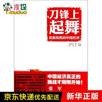 刀锋上起舞(直面危机的中国经济)