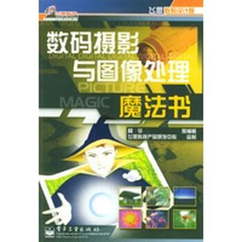 数码摄影与图像处理魔法书（飞思数码设计院） 杨华