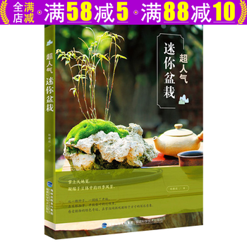 【包邮】人气迷你盆栽