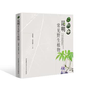 昆明常见野生植物