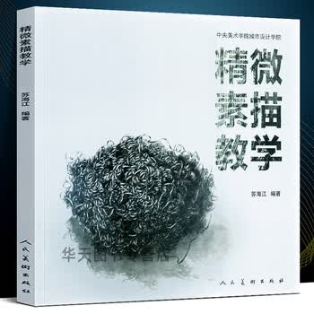 精微素描教学 中央美院照片级油画水彩步骤工笔起稿静物绘画详解临摹教程