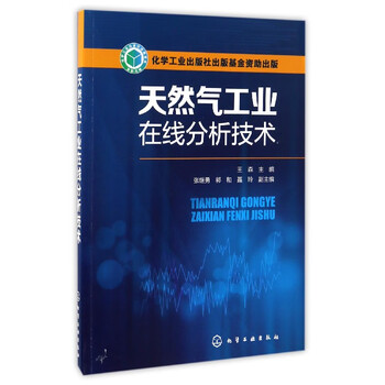 天然气工业在线分析技术
