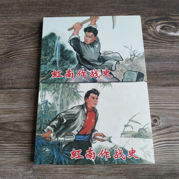 虹南作战史 连环画小人书 32开大精 共2册