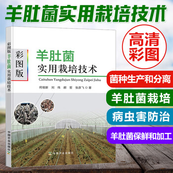 彩图版羊肚菌实用栽培技术 羊肚菌大棚高效栽培技术大全 菌种栽培种植书籍图书 蘑菇 食用菌栽培种技术