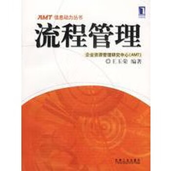 AMT信息动力丛书:流程管理