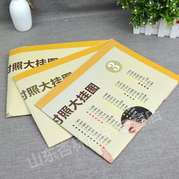 董氏奇穴与经穴对照大挂图 正面图+侧面图+背面图+说明书 可搭董氏奇穴使用手册针灸学
