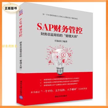 正版SAP财务管控:财务总监背后的管理大师