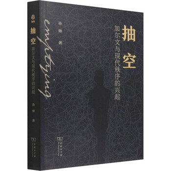 抽空 加尔文与现代秩序的兴起 图书