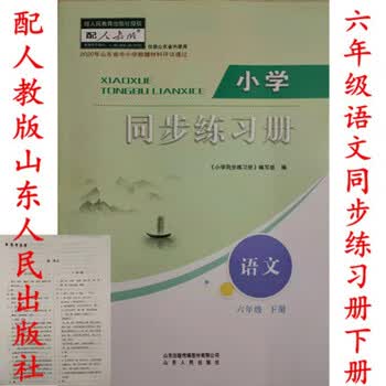 2021人教版(山东人民社)小学同步练习册语文六年级下册山东人民出版社六年级语文同步配套练习册下册