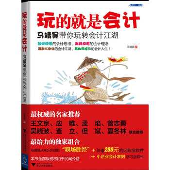 玩的就是会计【正版书籍，畅读优品】