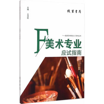 美术专业应试指南 叶建新 艺术 9787512015531