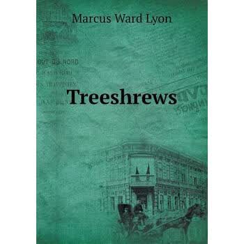 Treeshrews