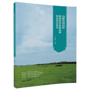 内蒙古自治区能源经济发展战略规划研究报告 杨玉峰 著【正版书】