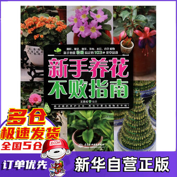 新手养花不败指南