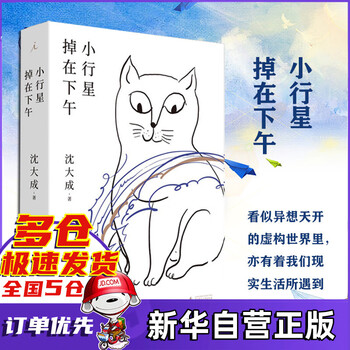 小行星掉在下午(精)