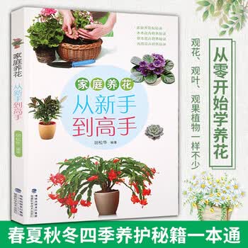 家庭养花从新手到高手 四季养花书籍种花图书大全 花卉种植技术书籍 室内植物盆栽花卉养殖大全的书 实用