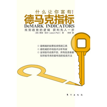 德马克指标 (英)珀尔　著,李辉　译