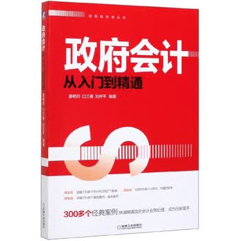 政府会计从入门到精通/财务轻松学丛书
