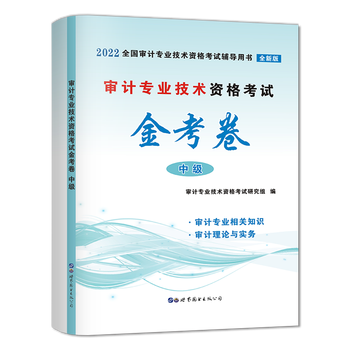 2022审计-中级 金考卷