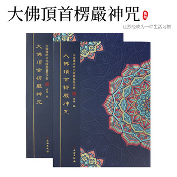 楞严咒经书抄经本楞严经手抄本经文临摹硬笔佛经字帖结缘复古 12本+1笔40芯+笔袋