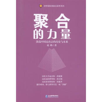 聚合的力量-游荡中国走出去的历史与未来 外语学习 赵鹏著 企业管理出版社 9787516411346