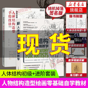 2册 人体结构原理与绘画教学+游戏动漫人体结构造型手绘技法 D2版画画入门自学零基础素描临摹画册插画教程