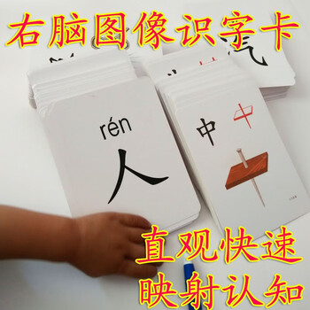 【老师推荐】幼早教启蒙 直映识字卡片 左右脑看图画认字卡片生汉字卡 超大卡 中号/第一册