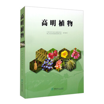 [正版图书]高明植物