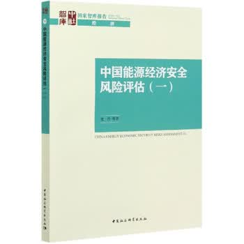 中国能源经济安全风险评估(1)/国家智库报告