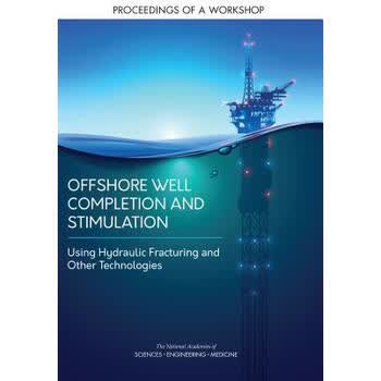 Offshore Well Completion and Stimulation: Using