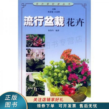 流行盆栽花卉 张鲁归