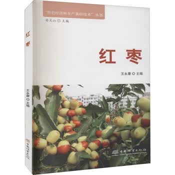 红枣