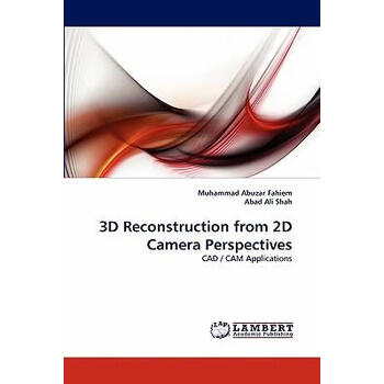 3D Reconstruction from 2D Camera Perspectives