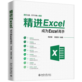精进Excel(成为Excel高手)
