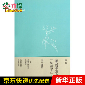 革命星空下的坏孩子--王小波传